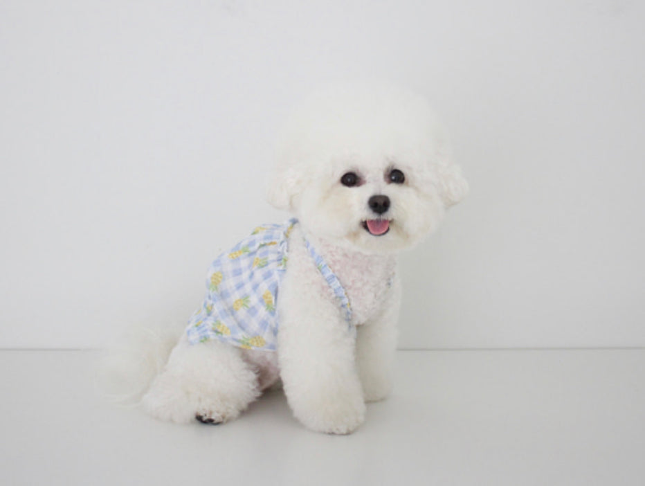 fruits PUP TOP pineapple – corona dog lifestyle