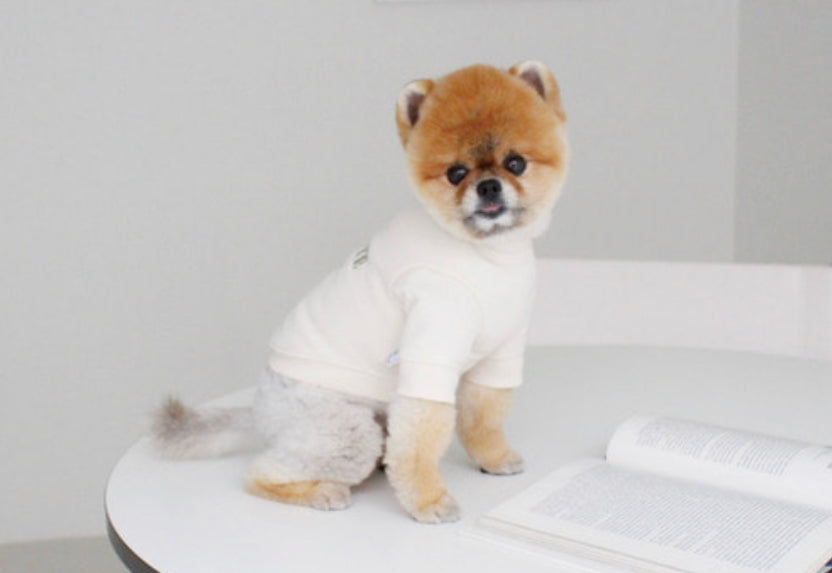 favorite mtm cream – corona dog lifestyle